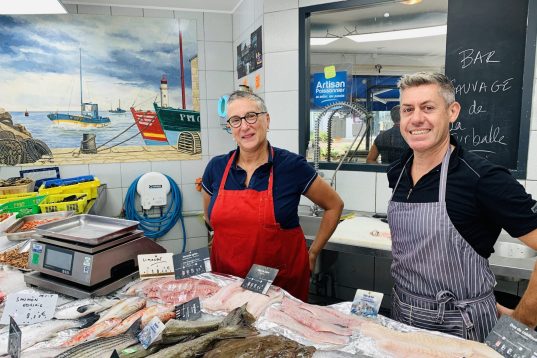 Artisans - Artivisor