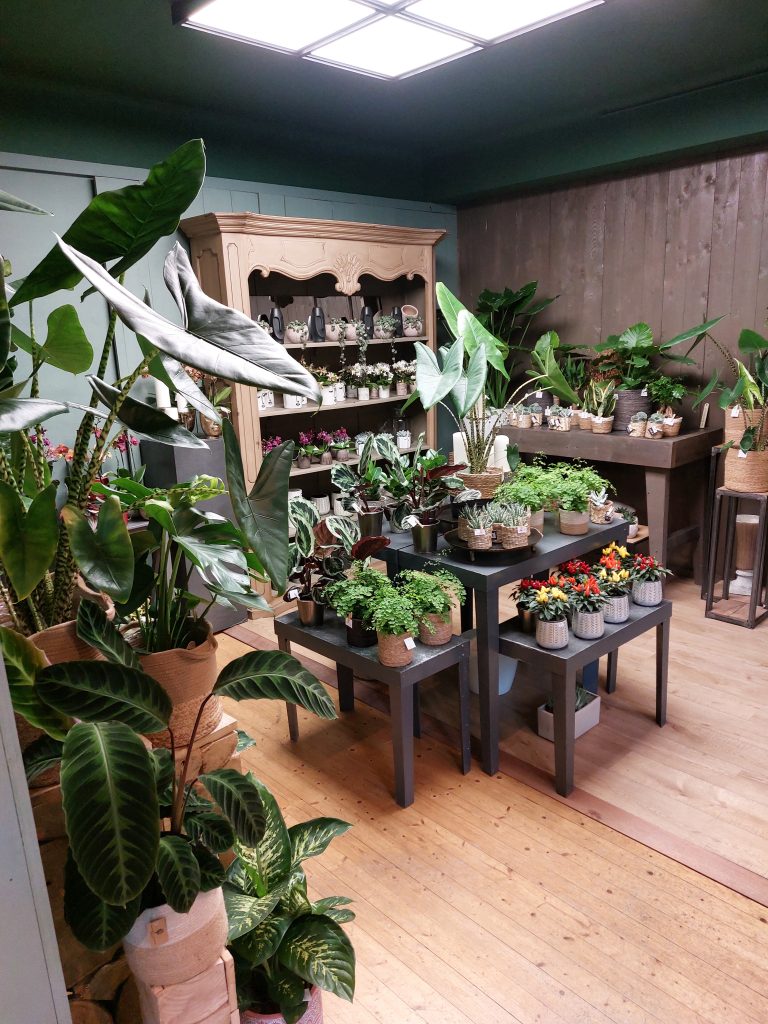 Top 4 des fleuristes à Nantes et alentours | Artivisor