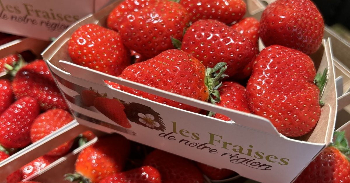 La saison des fraises est officiellement lancée ! | Artivisor